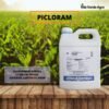 Picloram Nortox 240 SL Herbicida - 5L - Villa Verde Agro: Compre Aqui!